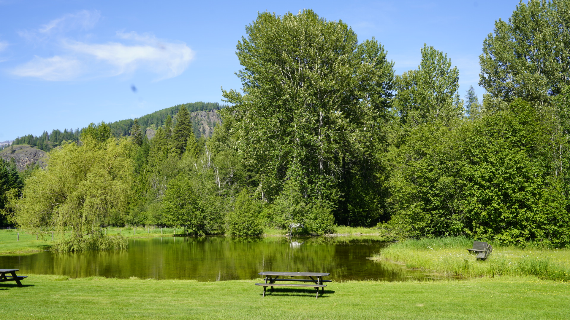 Cabins – Chapman Springs Ranch