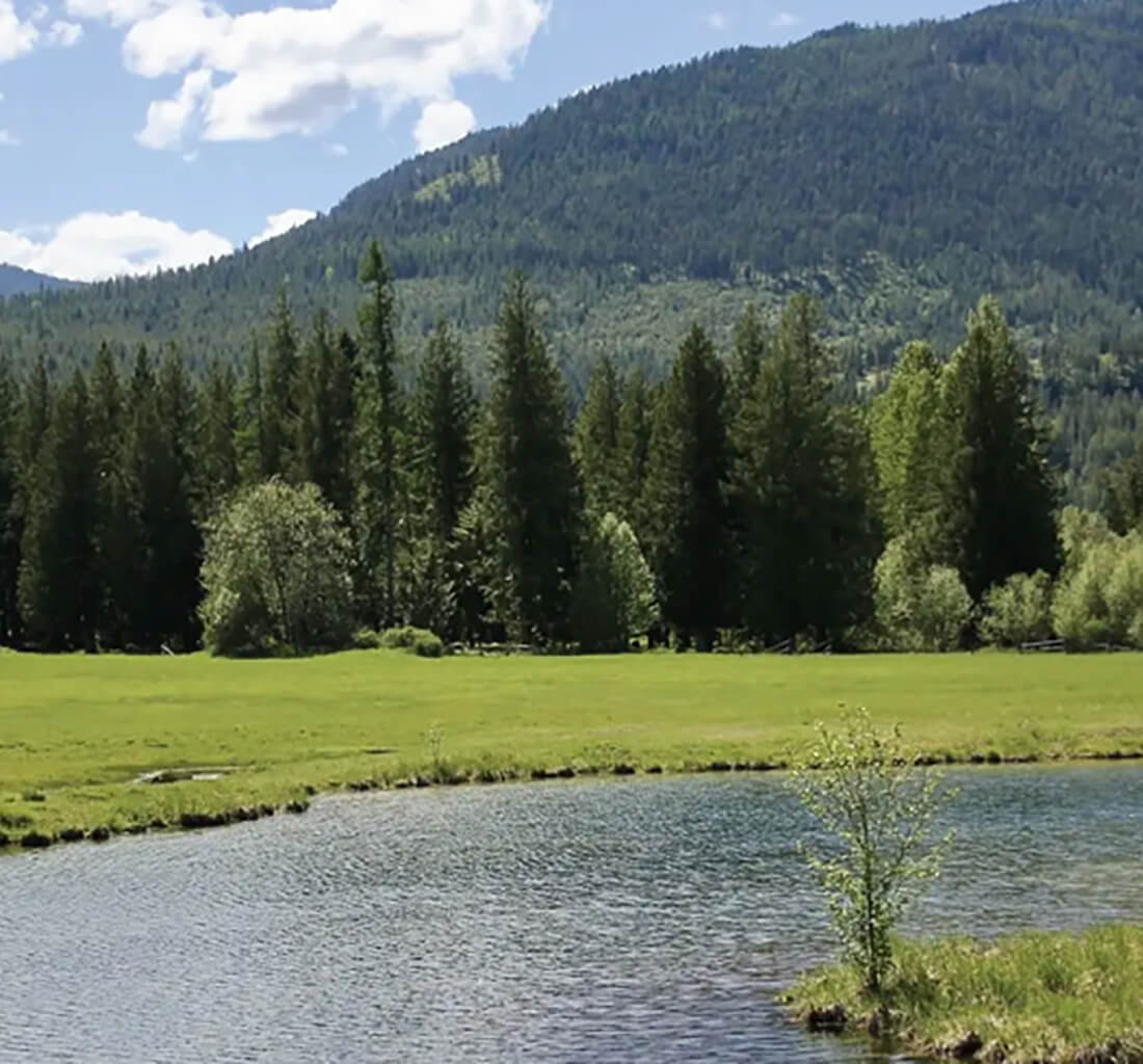 Accommodations – Chapman Springs Ranch